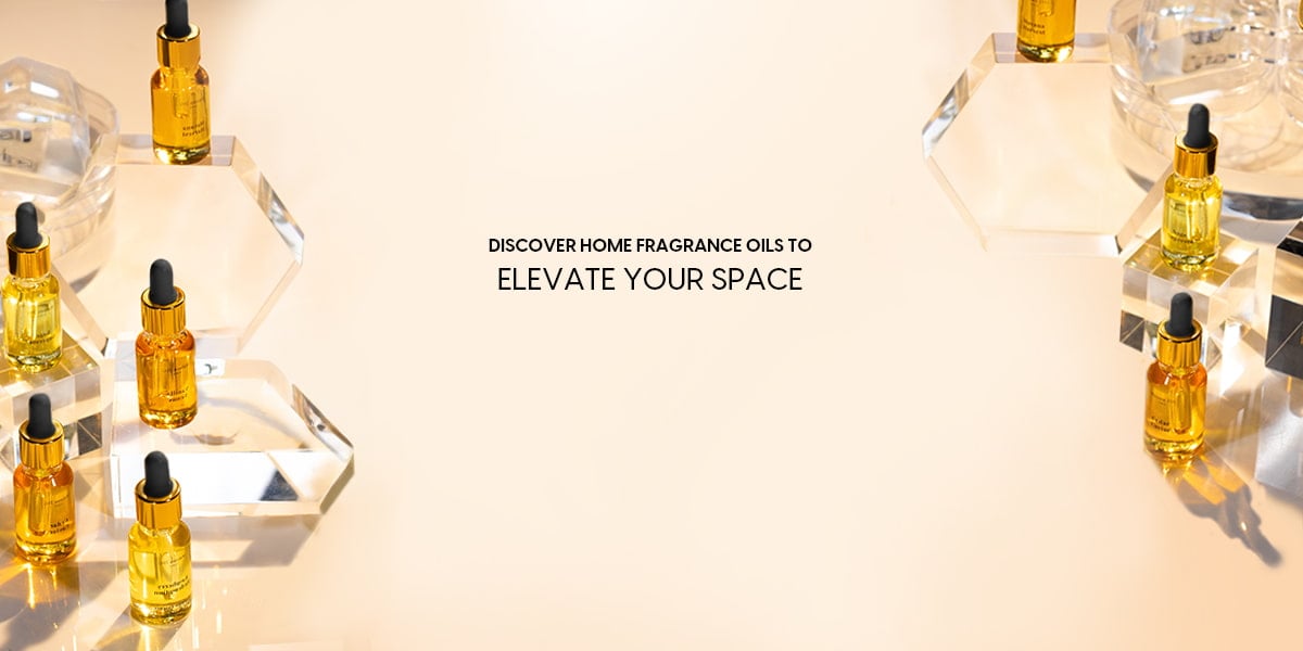 Discover all our home perfumes